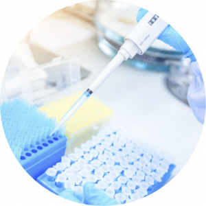 Laurus Bio | Enabling precision fermentation and synthetic biology