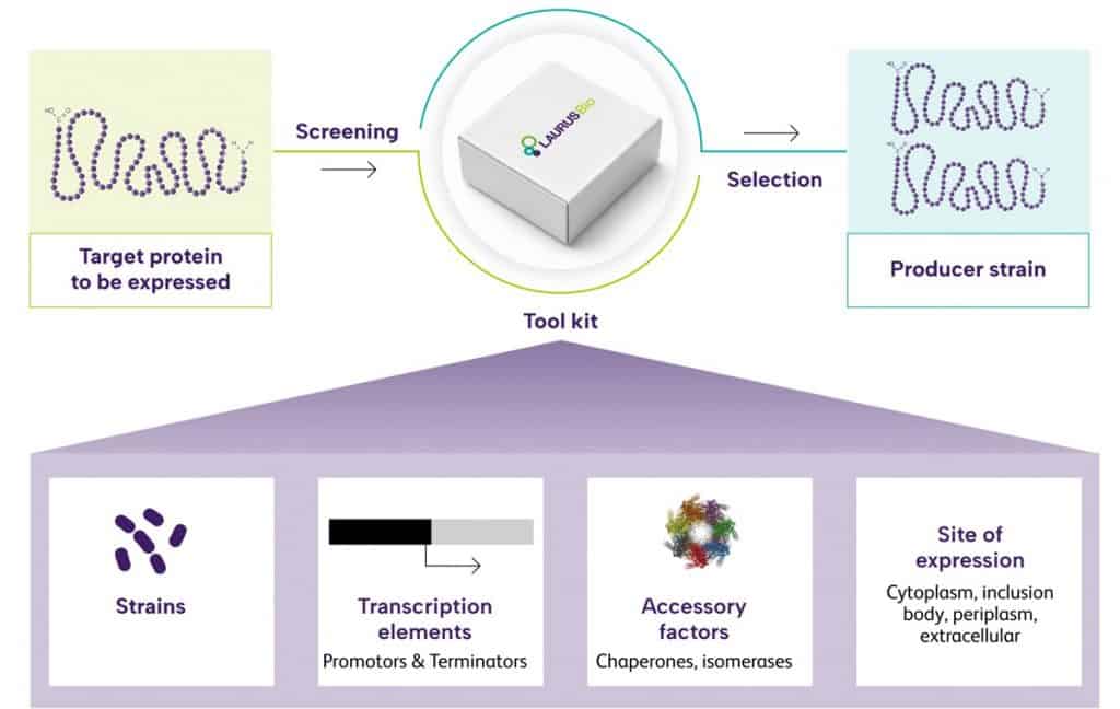 Laurus Bio Toolkits | Proprietary platforms for optimized recombinant ...