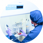 Laurus Bio | Enabling precision fermentation and synthetic biology